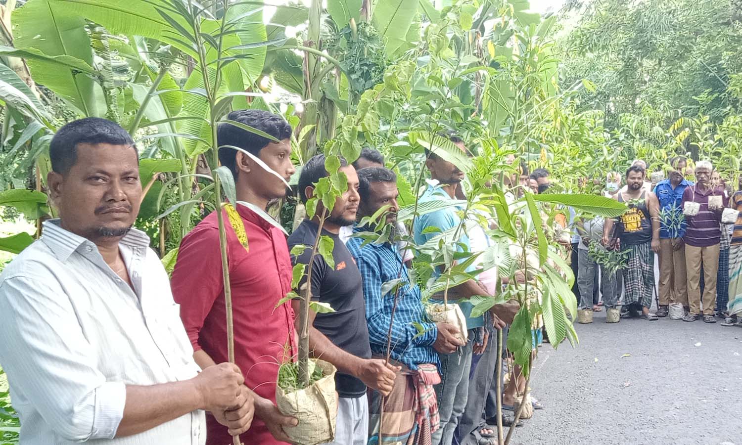 Kalia Tree plant | Business Bangladesh | is the Most Popular Bangla ...